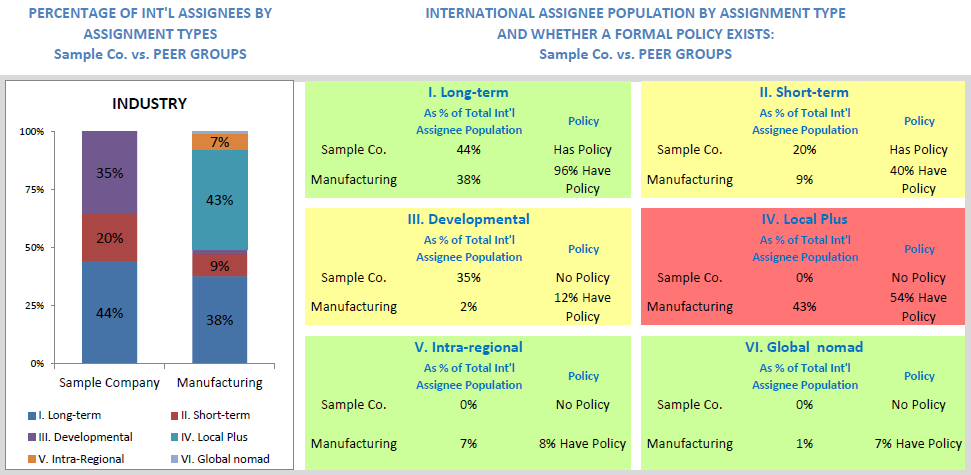 Global Mobility Program Insights Report