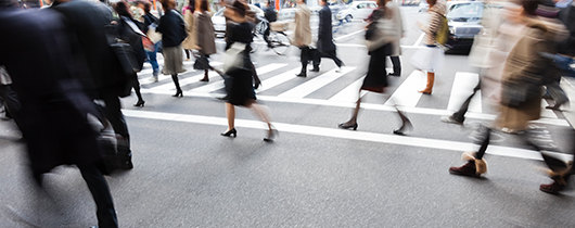 Outplacement Services